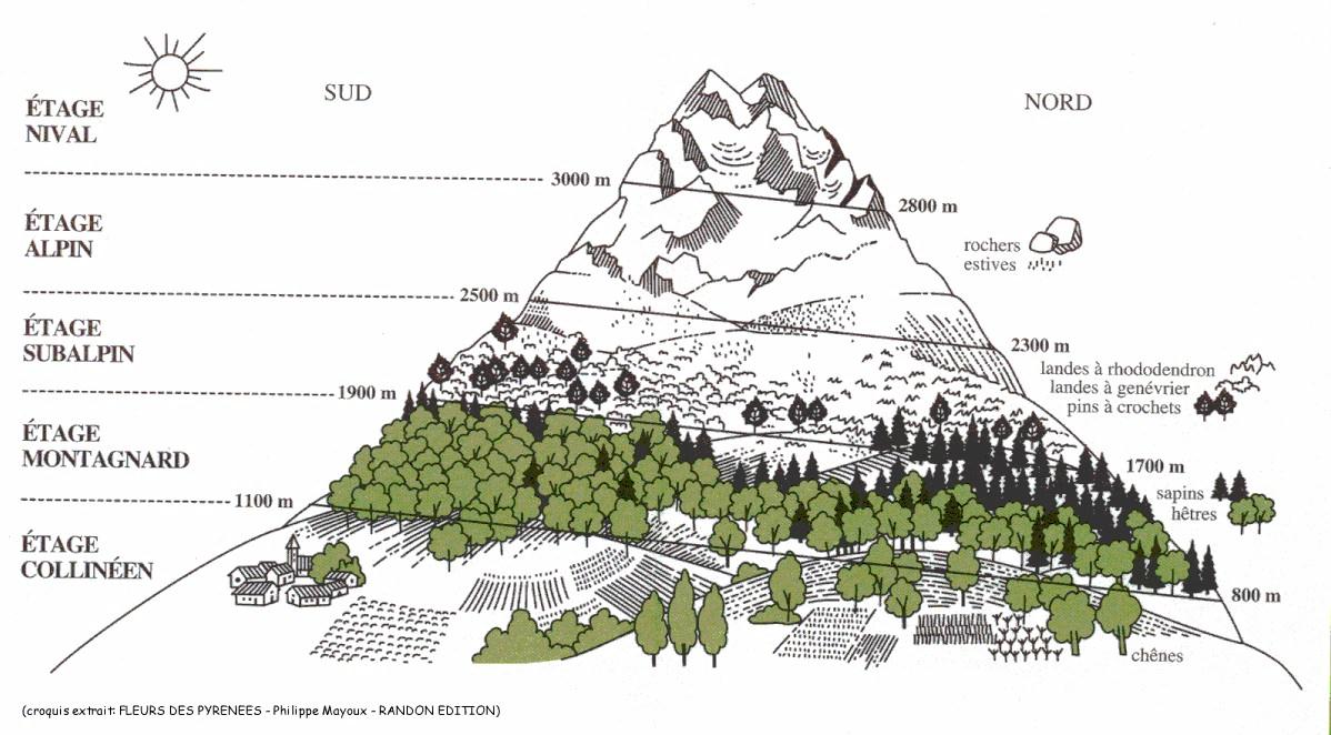 Les Sentiers d'Interprétation • La station de Ski de Formiguères